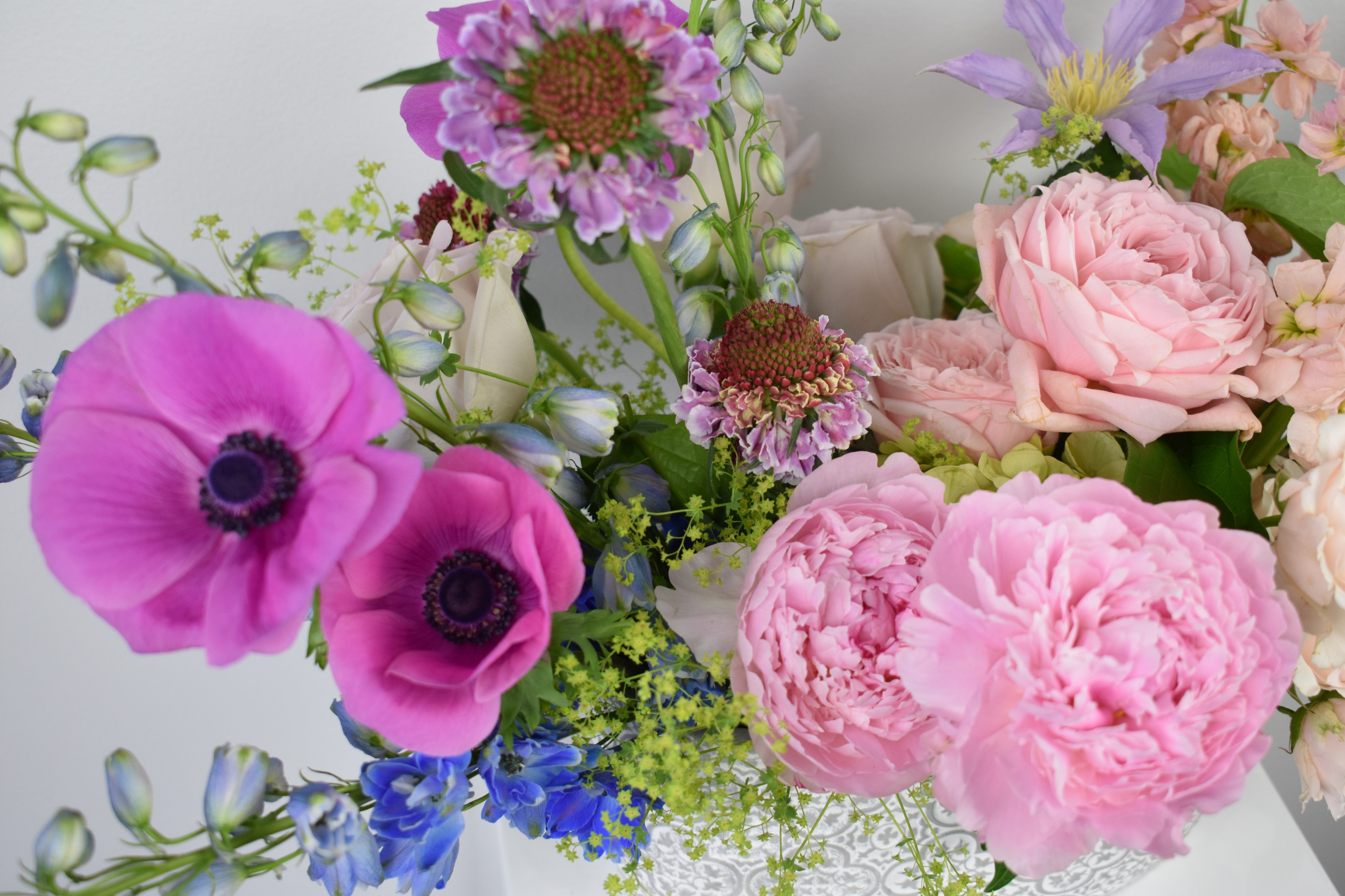 Spring Collection 2025 – Floral Fêtes