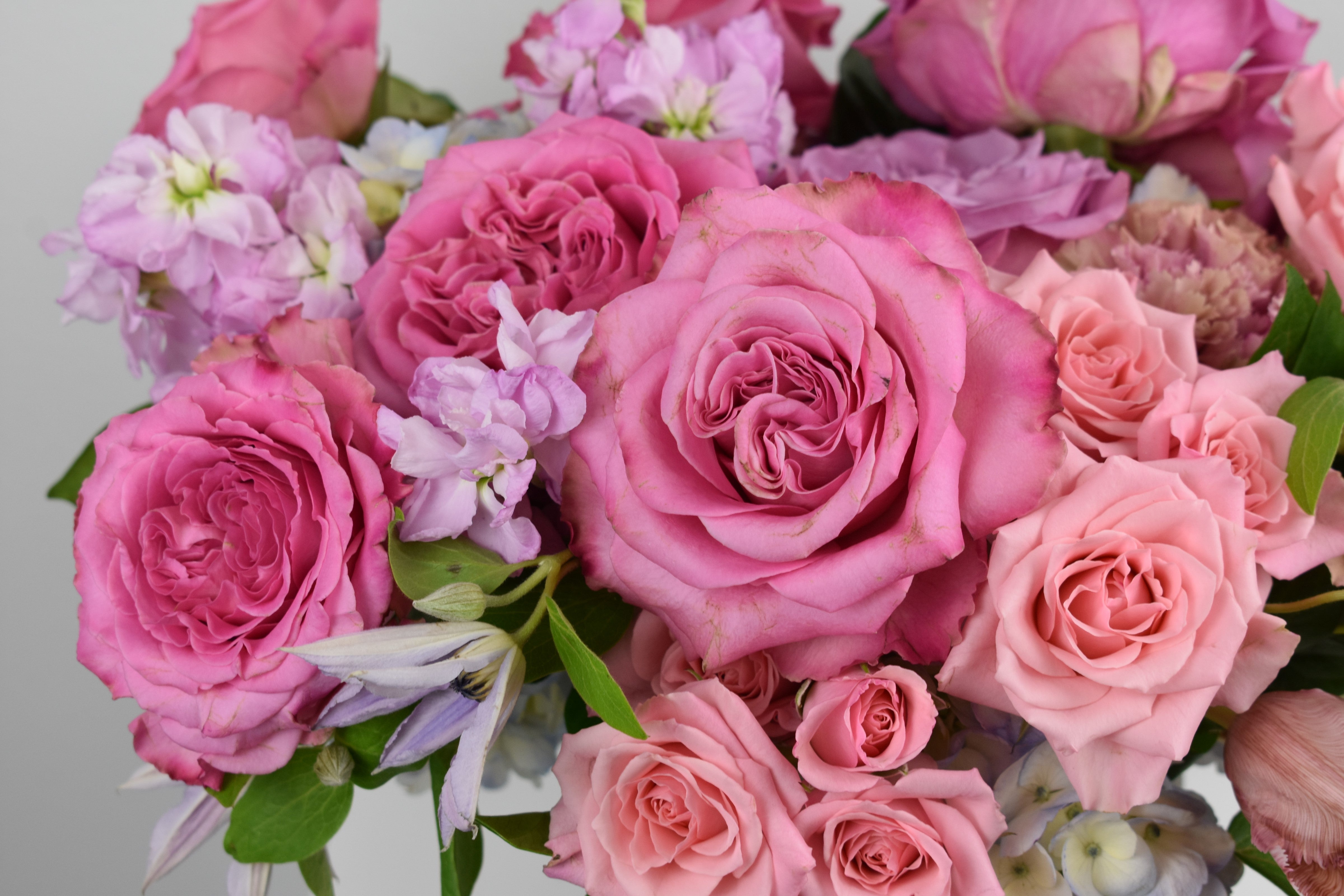 Spring 2023 – Floral Fêtes