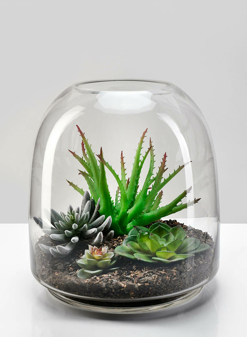 Victoria Glass Terrarium – Floral Fêtes